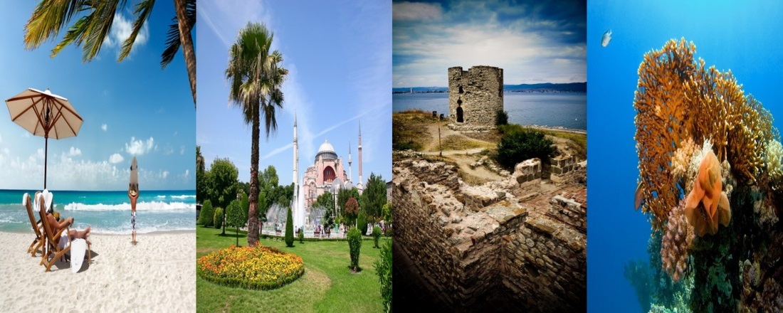 Knall - Window Blinds - Shop Online - Made To Measure